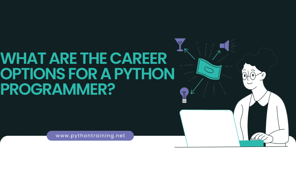 Top Career Options for Python Programmers in 2025